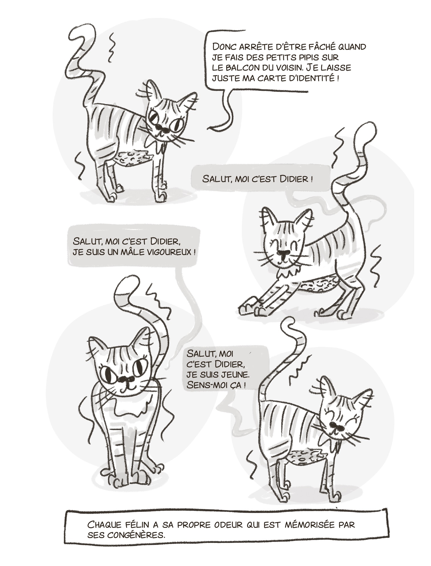 Dans la tête d’un chat - Par Lili Sohn & Jessica Serra – (...) - ActuaBD