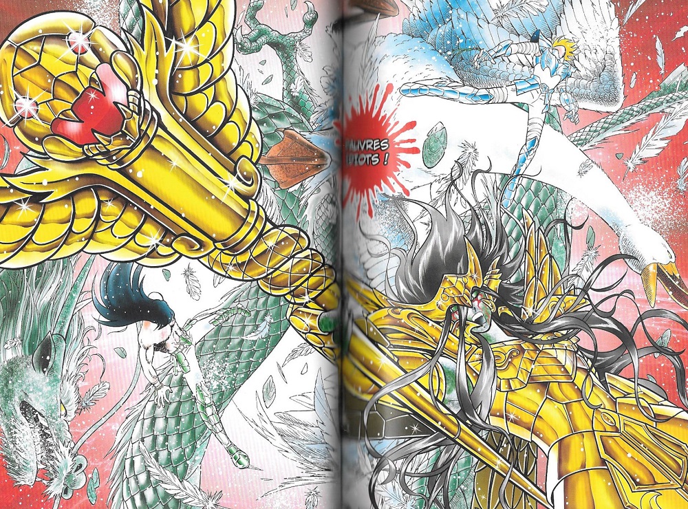 Saint Seiya Next Dimension T. 15 - Par Masami Kurumada - Éd ...
