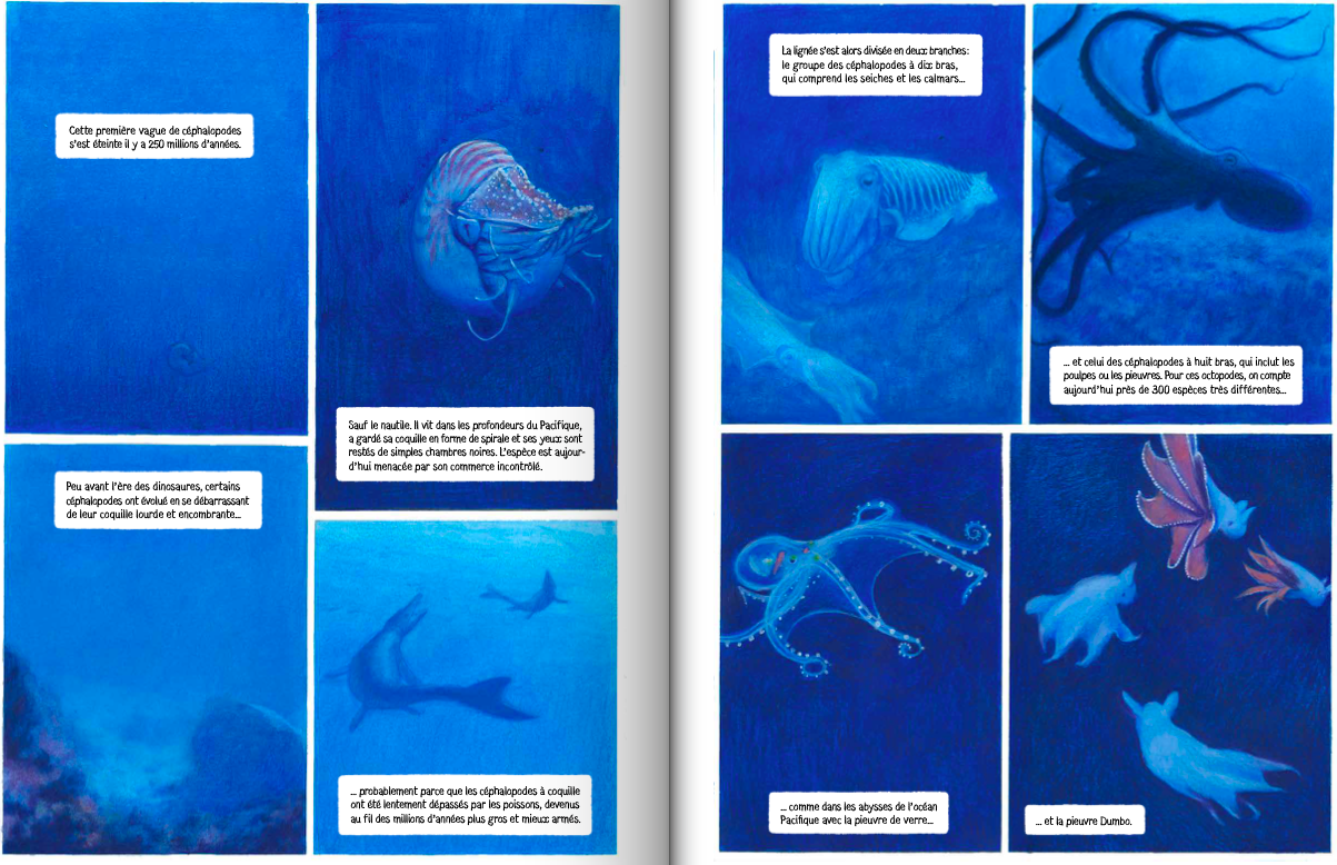 Avec Octopolis, Gaétan Nocq explore les mystères des fonds marins ...