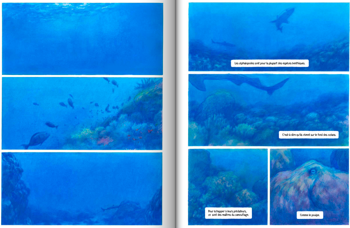 Avec Octopolis, Gaétan Nocq explore les mystères des fonds marins ...