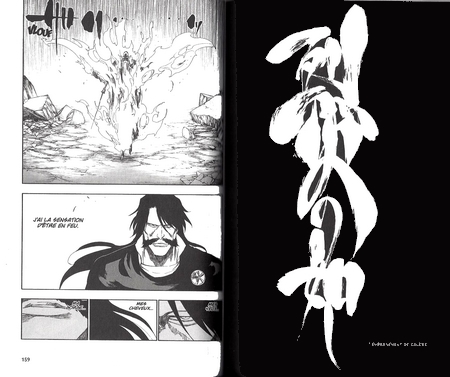 Bleach T.57 - Par Tite Kubo (trad. Anne-Sophie Thévenon) - (...) - ActuaBD