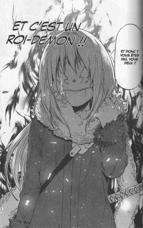 Moi, quand je me réincarne en Slime T. 14 & T. 15 - Par Taiki ...