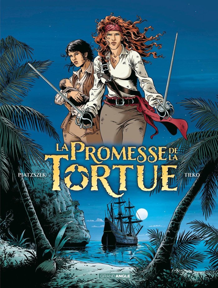 La promesse de la tortue T. 3 - Par Piatzszek et Tieko - Éd. Grand ...