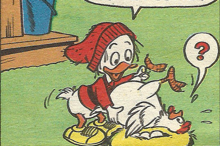 Popop Duck, 60 ans d’extravagance ! - ActuaBD